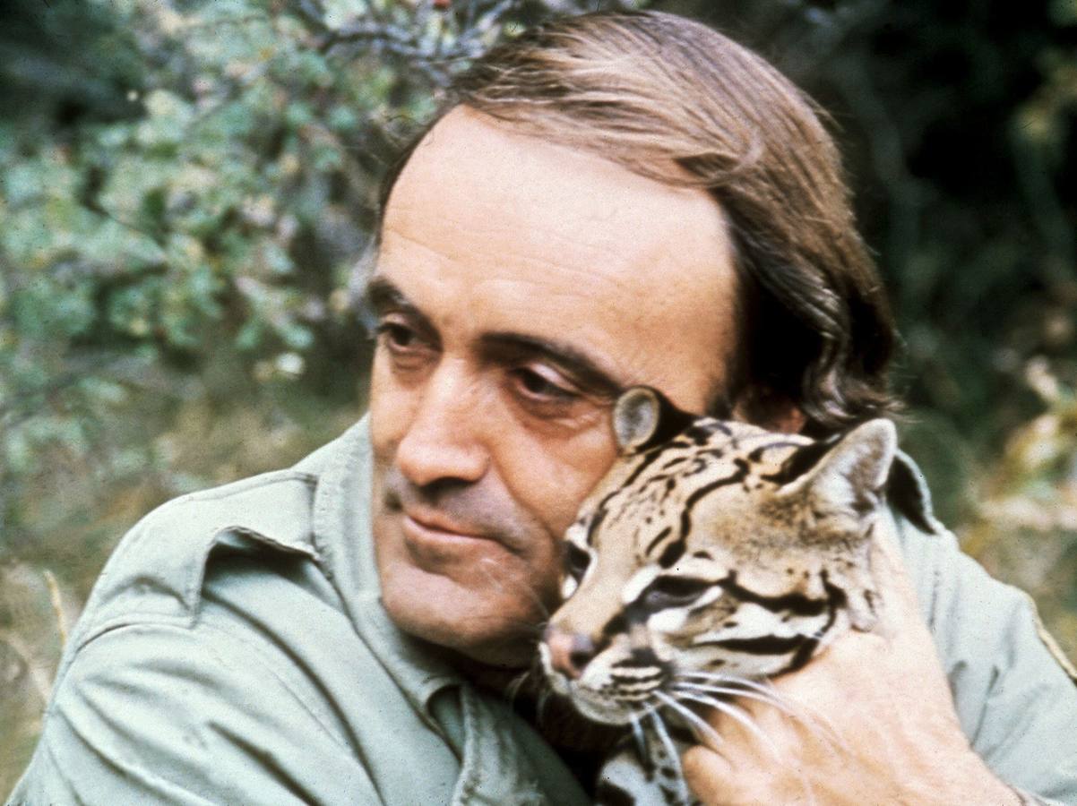 Se cumplen 35 años de la muerte de Félix Rodríguez de la Fuente 'El ...