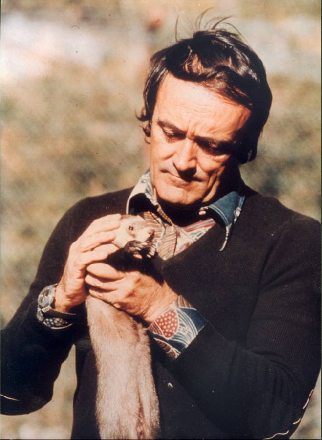 Se cumplen 35 años de la muerte de Félix Rodríguez de la Fuente 'El ...