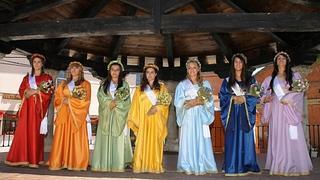 Requerimiento y proclamación de las siete Doncellas de Simancas 2015 (2 ...