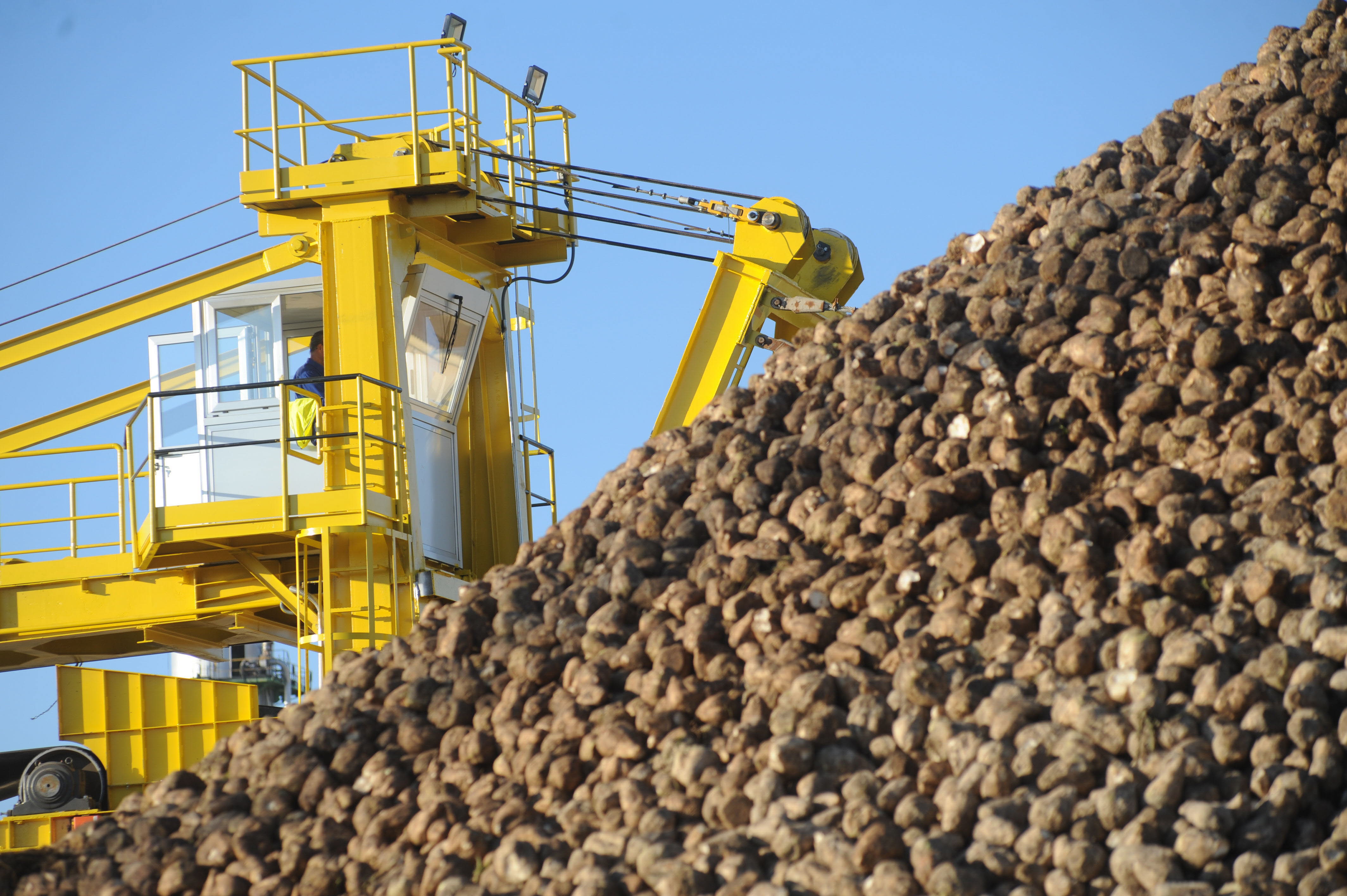 ACOR | El Norte de Castilla