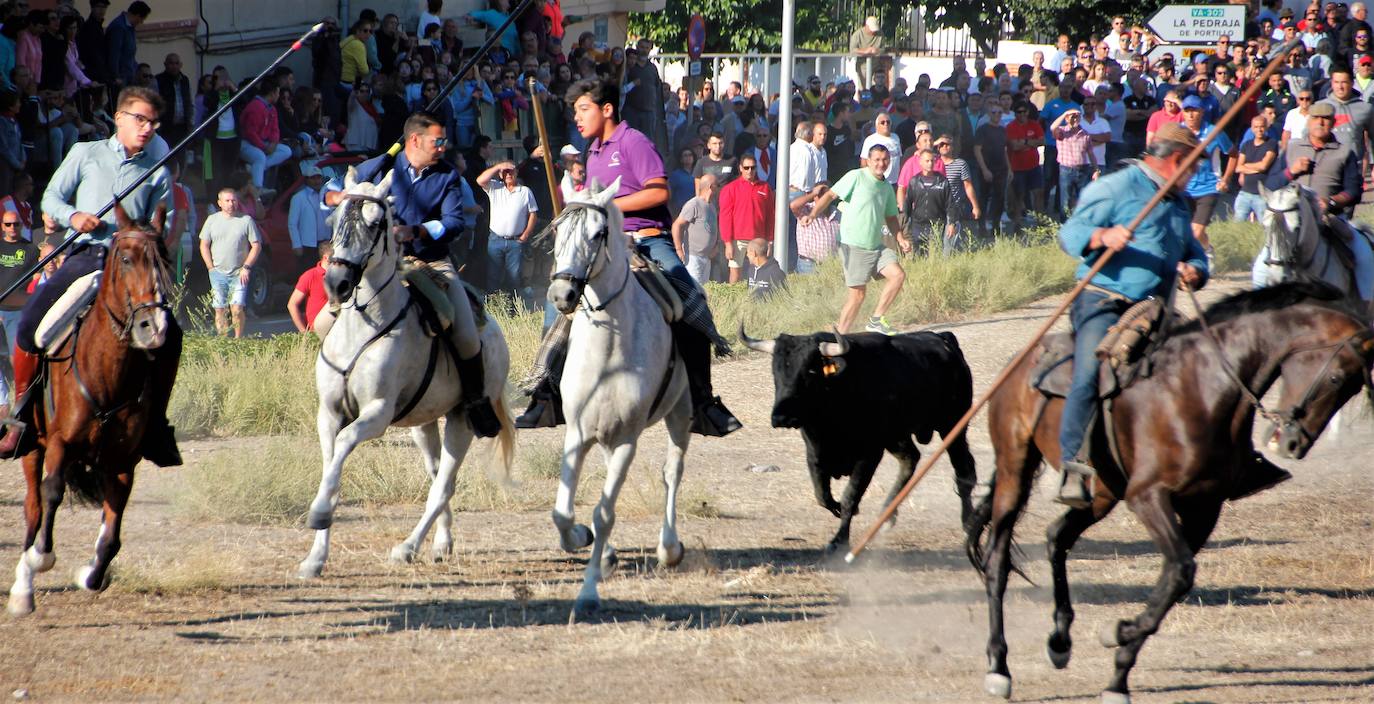 Fotos: Las fiestas de Portillo se despiden con el último encierro mixto ...