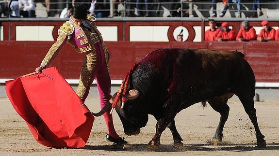El torero segoviano Víctor Barrio toreará dos tardes en Las Ventas | El ...